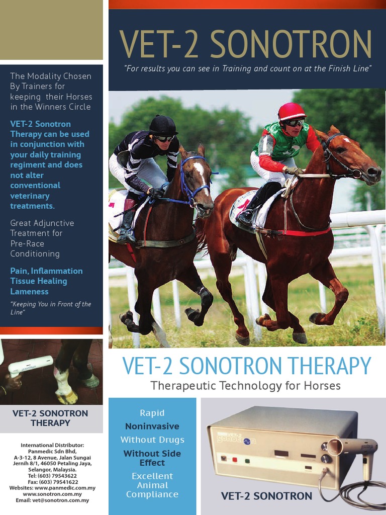 VET-2 Sonotron Leaflet | PDF | Osteoarthritis | Horses
