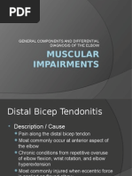 Rotator Cuff and Shoulder Conditioning Program - OrthoInfo - AAOS | PDF ...