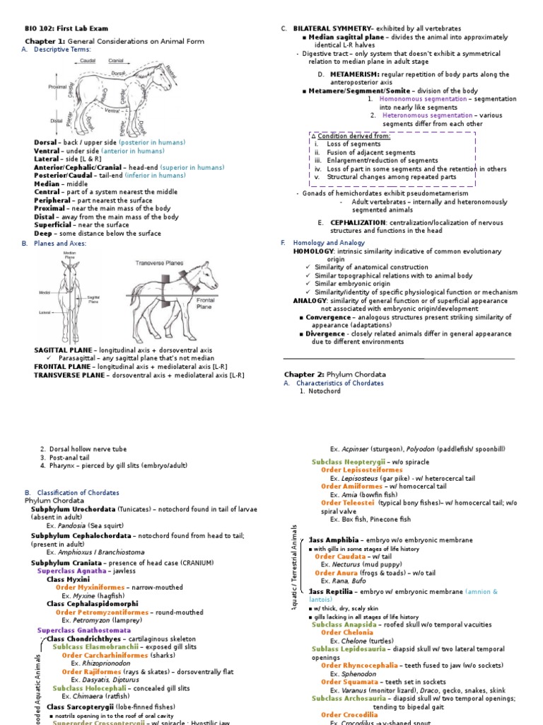 Bio 102 1st Lab Reviewer | PDF | Anatomical Terms Of Location | Anatomy