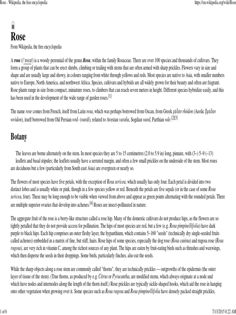 Rose Basic Text Intro - Wiki | PDF | Rose | Flowers