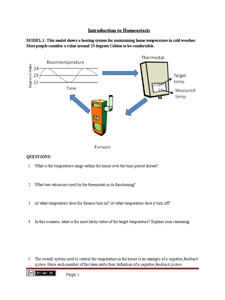Homeostasis Student Version | PDF | Negative Feedback | Homeostasis