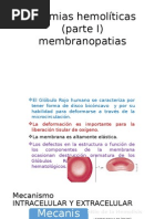 Citrobacter freundii: Características y Aislamiento | PDF | Las ...