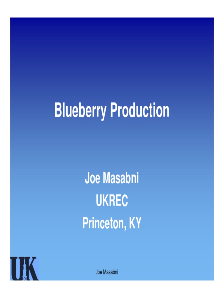 Blueberry | PDF | Mulch | Blueberry