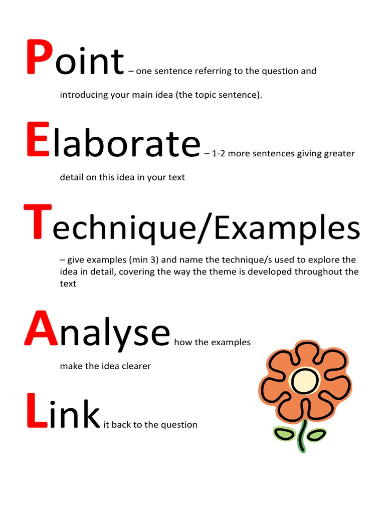 Petal Paragraph Structure Guide | PDF