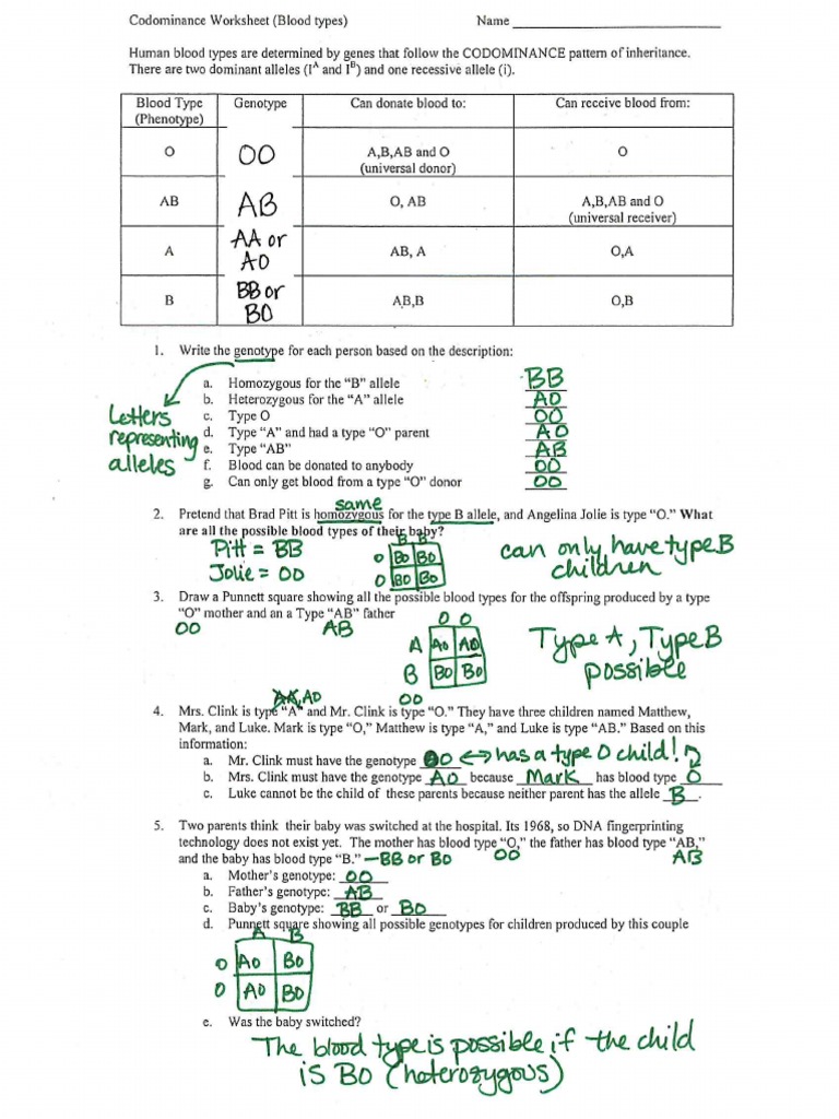 Blood Typing Homework | PDF