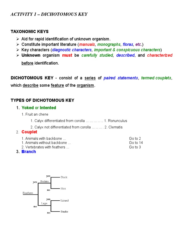 Activity 1 - Dichotomous Key: Floras Diagnostic Characters Described ...