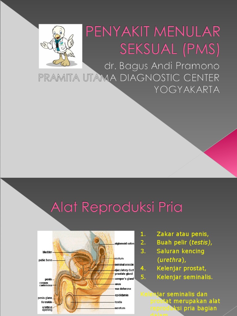 Penyakit Menular Seksual (PMS) | PDF