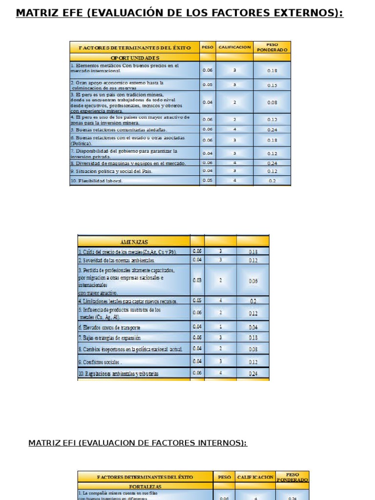 Matriz Efe (Evaluación de Los Factores Externos) | PDF