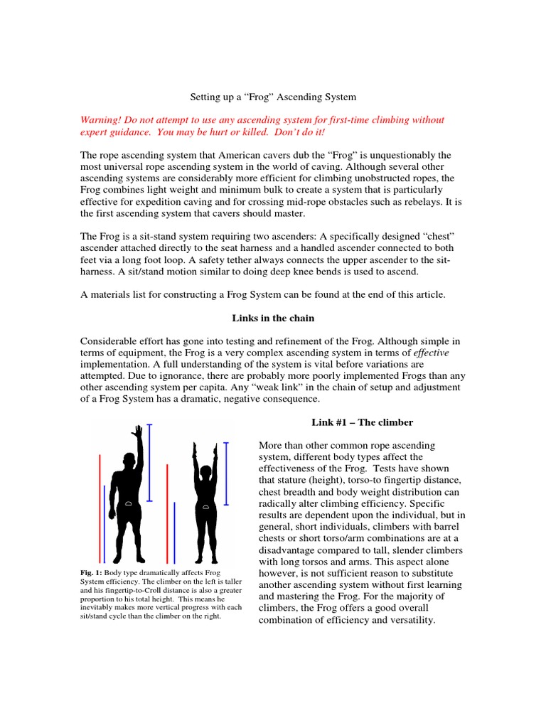 Setting up an Effective Frog Ascending System: Understanding the ...