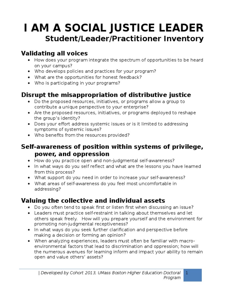 Social Justice Leadership Strategies | PDF | Self Awareness | Leadership