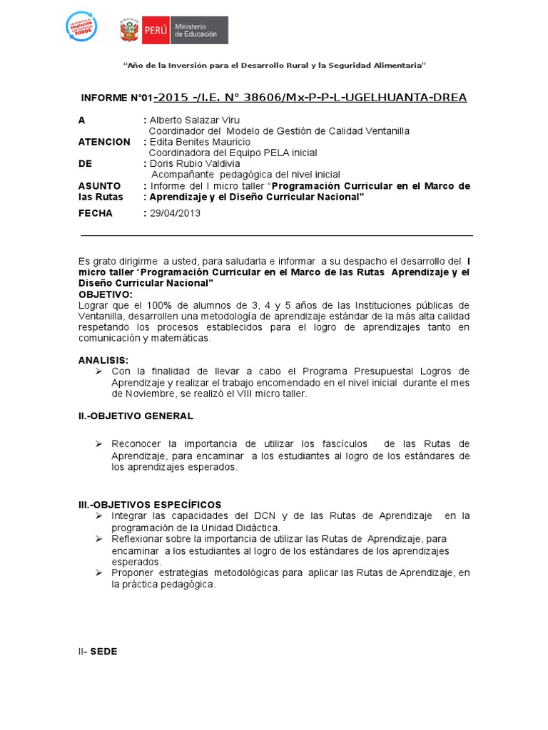 Modelo de Informe | PDF | Evaluación | Aprendizaje