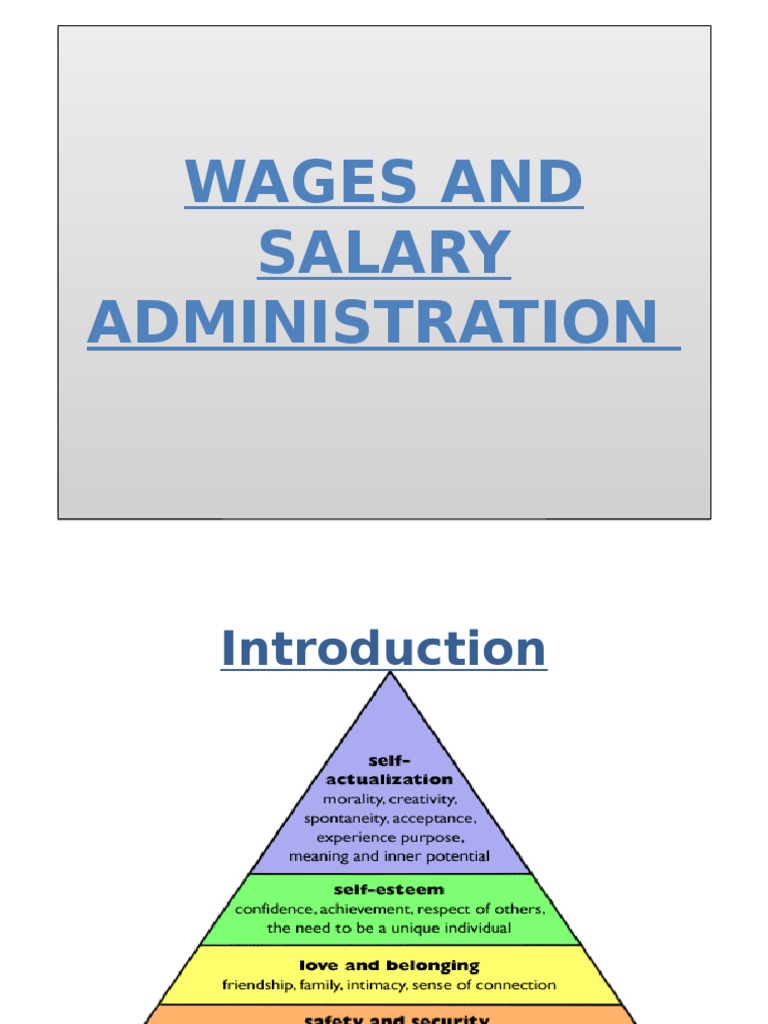 Wage & Salary Administration Guide | PDF | Wage | Salary