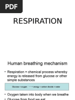 Science Form 3 - Chapter 2 (Respiration) | PDF | Respiratory System | Lung