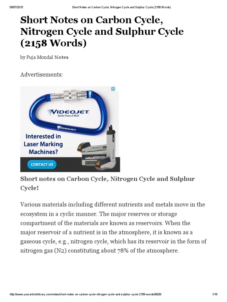 Short Notes On Carbon Cycle, Nitrogen Cycle and Sulphur Cycle | PDF ...