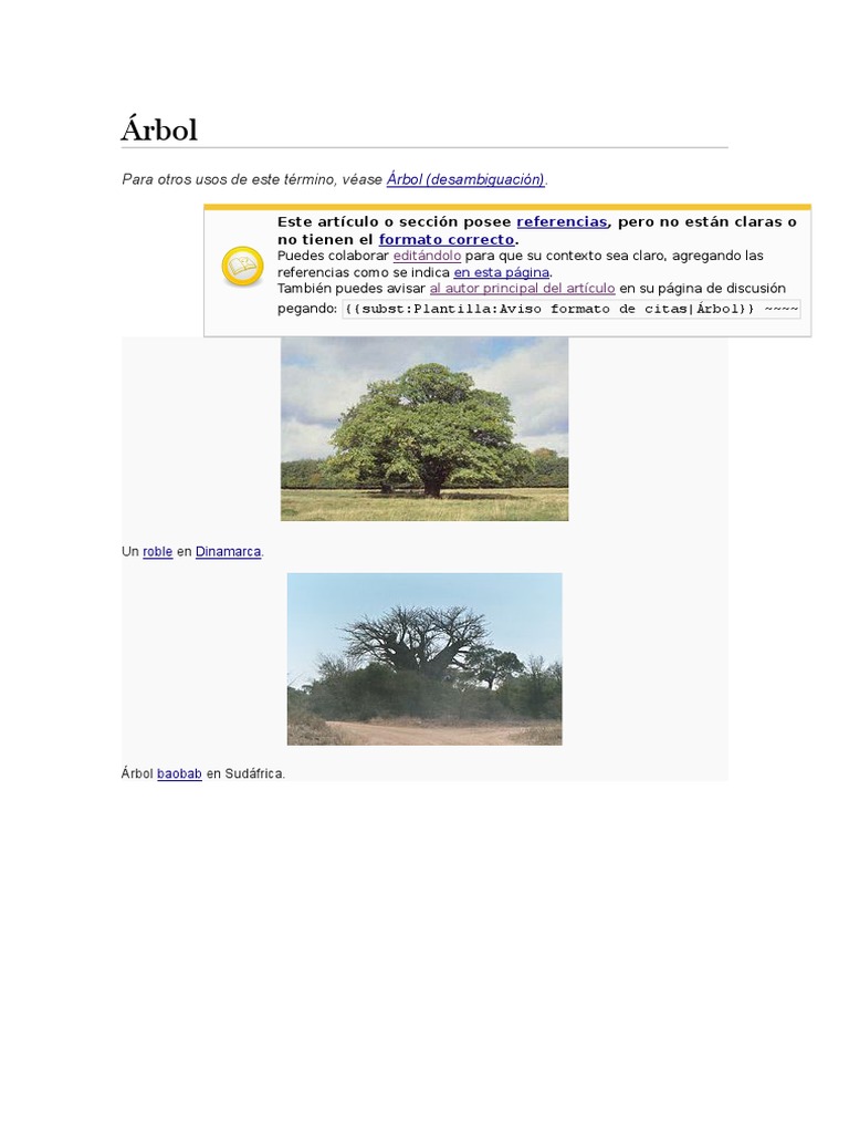 Arboles Del Peru | Arboles | Hoja