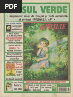 Asul Verde - Nr. 34, 2007 | PDF