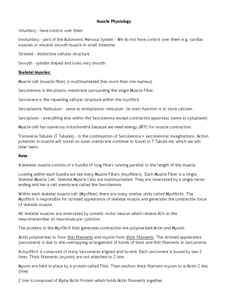 Muscle Physiology Notes | PDF | Myocyte | Muscle Contraction