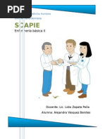 soapie | Enfermería | Ciencias de la Salud | Prueba gratuita de 30 días ...