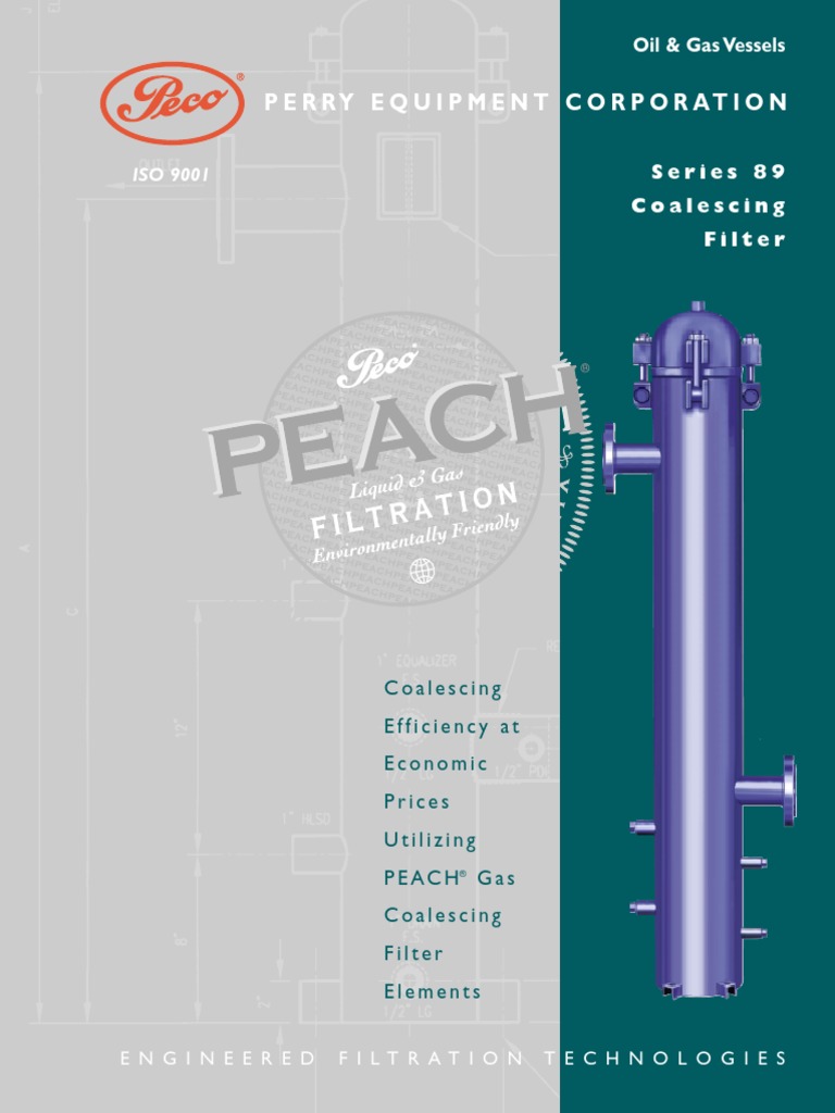 Filtro PECO Gas Combustible | Phases Of Matter | Gases