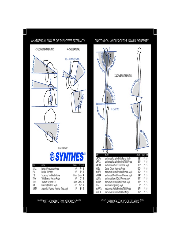 Anatomical Angles Lower Extremity | PDF | Anatomical Terms Of Location ...