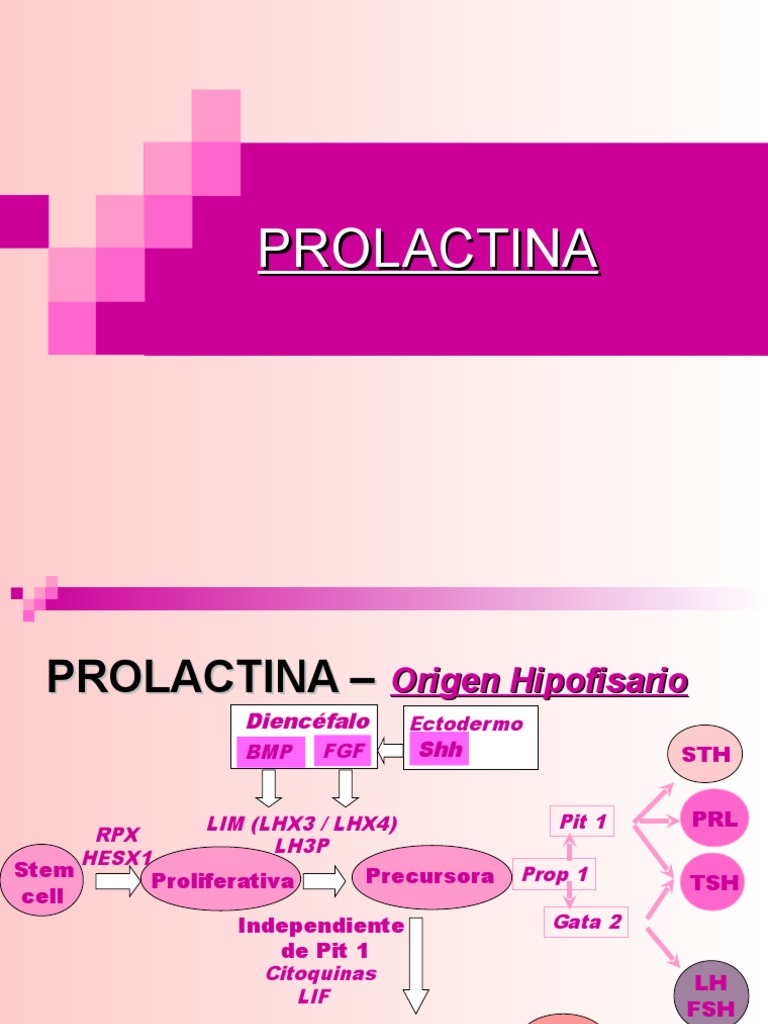 Prolactina | Glándula pituitaria | Receptor (Bioquímica)