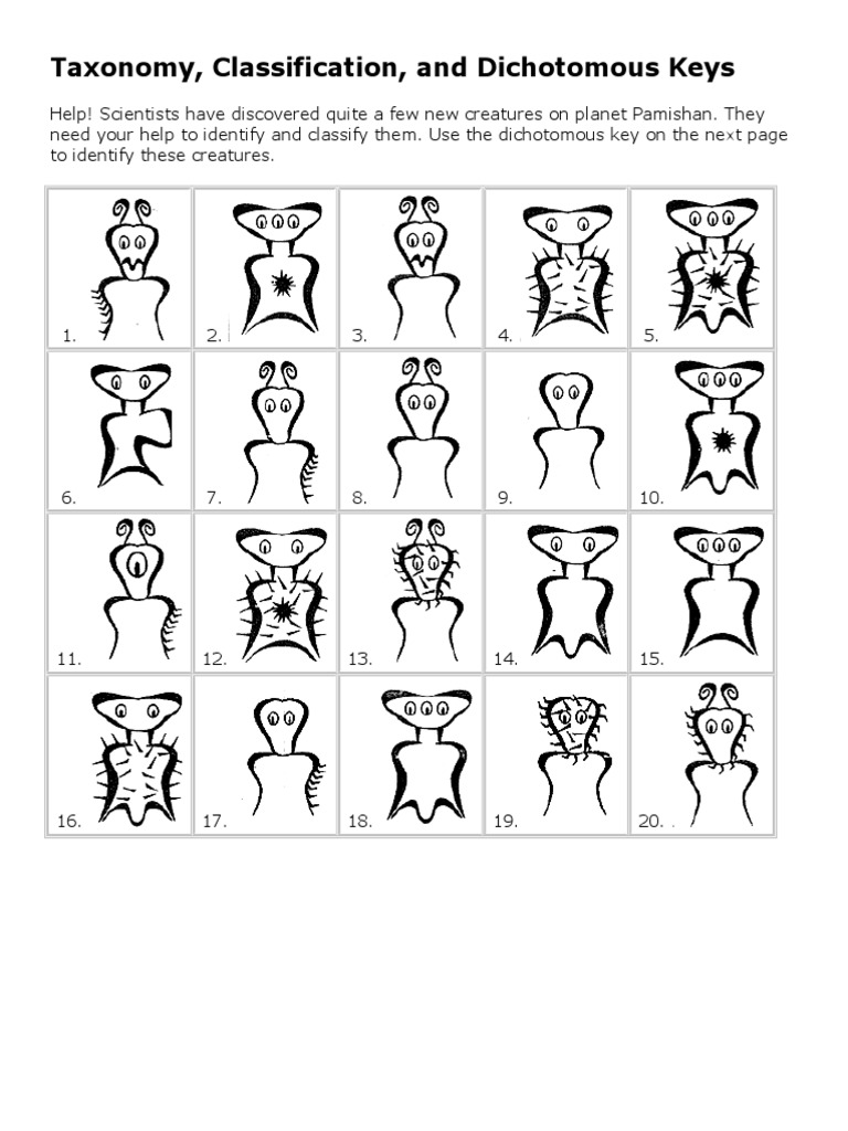 Dichotomous Keys - Practice | PDF