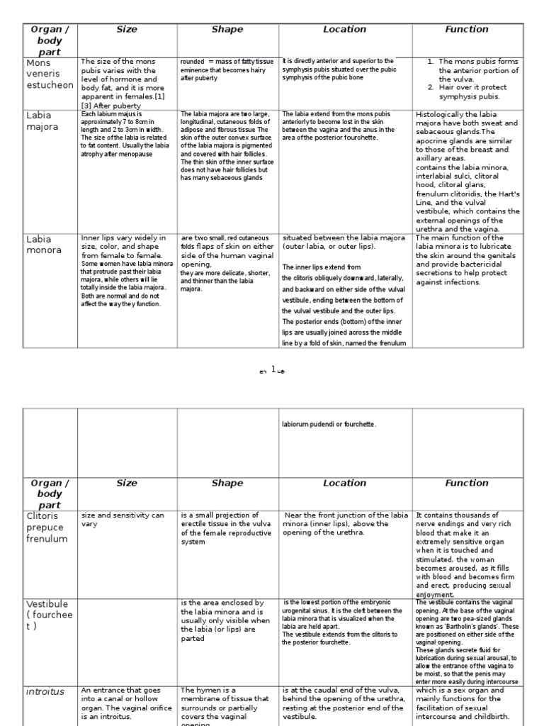 Mons Veneris Estucheon Labia Majora: Organ / Body Size Shape Location Function | PDF | Labia ...