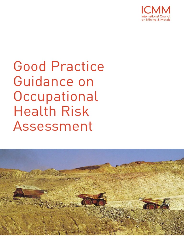 Health Risk Assessment | PDF | Occupational Safety And Health | Risk