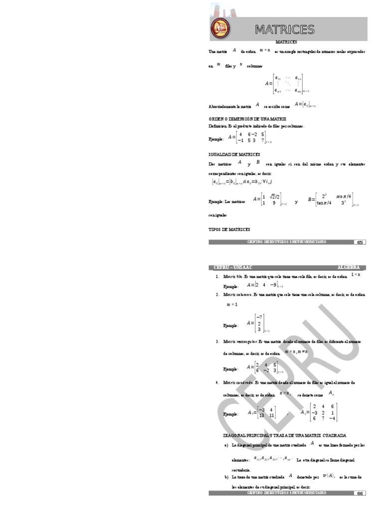 Algebra 07 | PDF | Determinante | Matriz (Matemáticas)