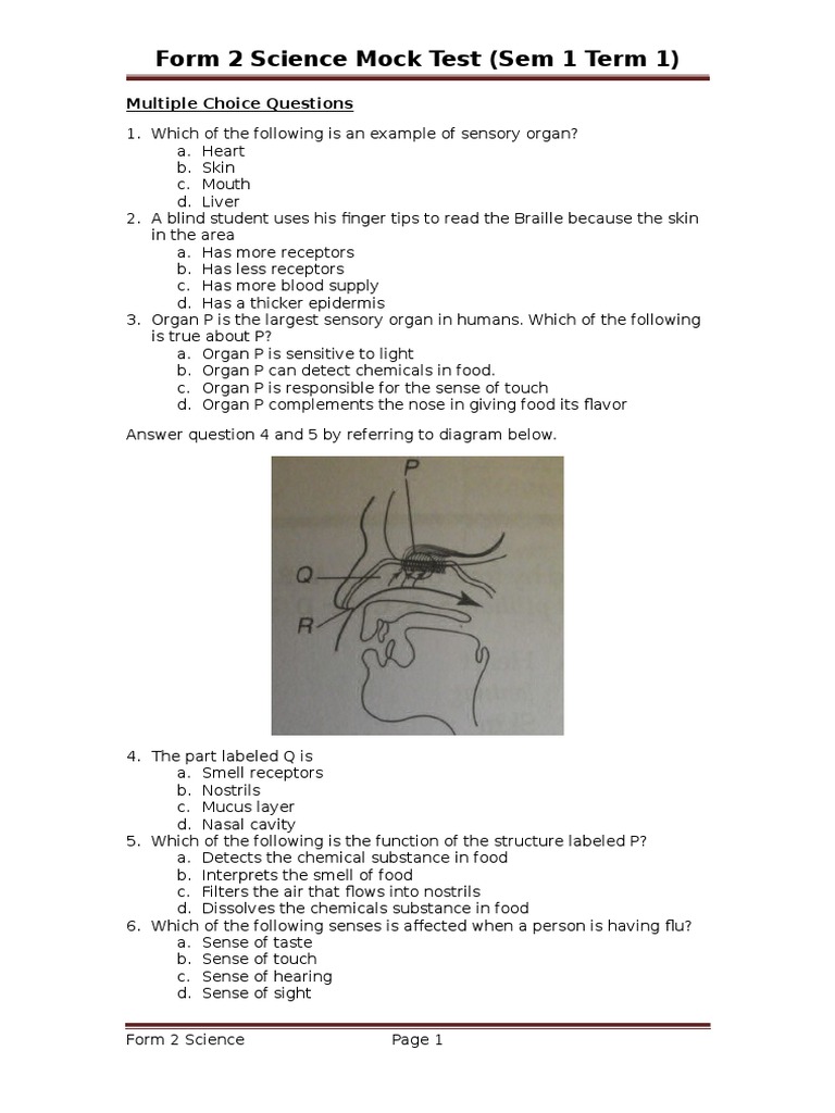 Form 2 Science Mock Test (Sem 1 Term 1) | PDF | Senses | Ear