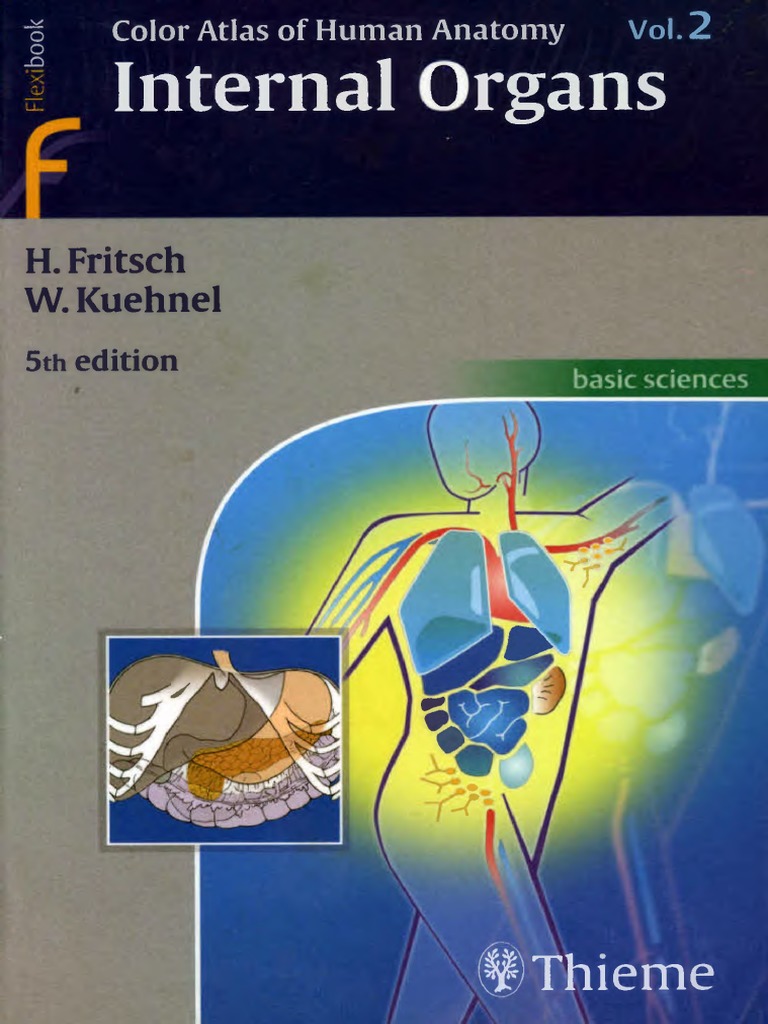 Color Atlas of Human Anatomy Internal Organs V 2 | PDF