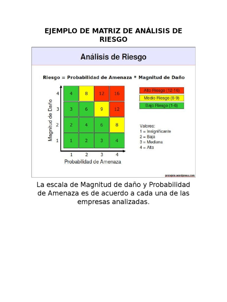 Ejemplo De Matriz De Análisis De Riesgo Pdf