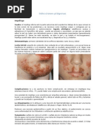 CAPÍTULO 17 - Prurigo Por Insectos (Cimiciasis) | PDF | Insecticida ...