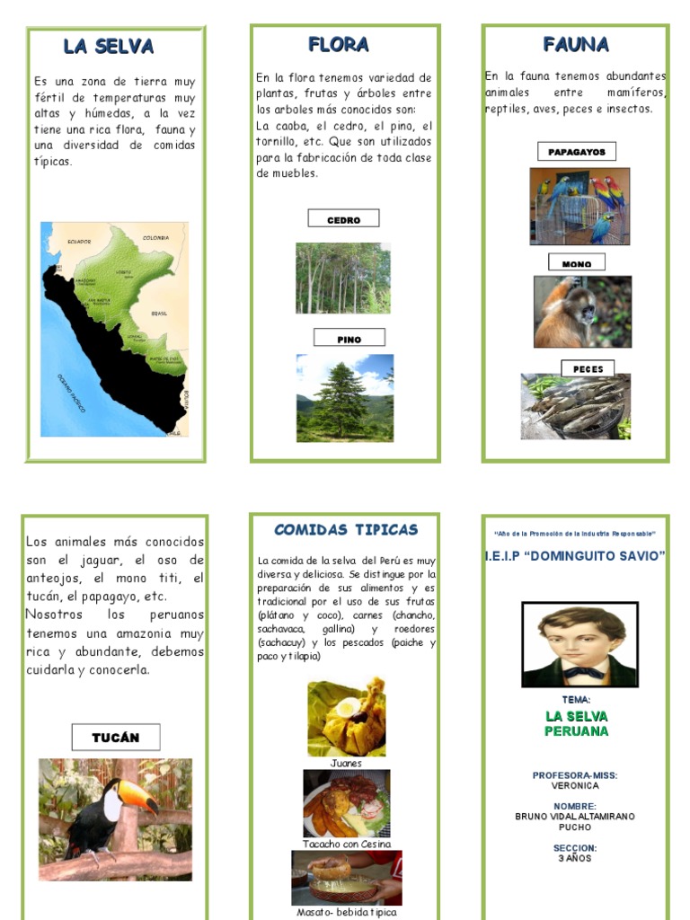 Triptico Selva Flora y Fauna