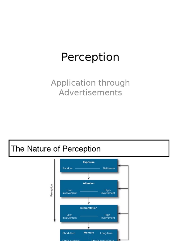Perception 2015 | PDF | Advertising | Perception