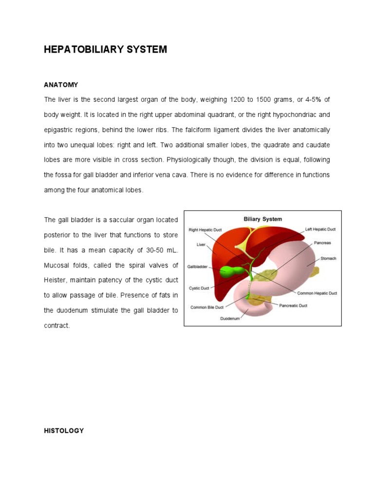 Anatomy and Function of the Hepatobiliary System | PDF | Liver | Cirrhosis