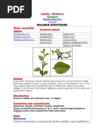 Natural Ink From Alugbati | PDF | Ink | Wellness