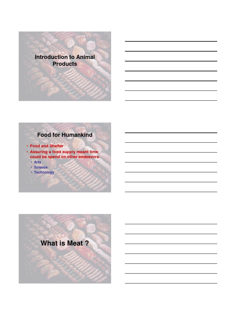01SV Intro To Animal Products | PDF | Offal | Meat