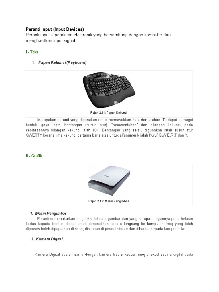 Peranti Input | PDF