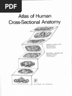 Ultrasound of The Neck in 7 Sweeps - DR Rhian Rhys | PDF | Neck | Human ...