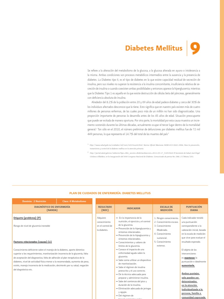 Place Diabetes Mellitus | PDF | Diabetes mellitus | Hipoglucemia