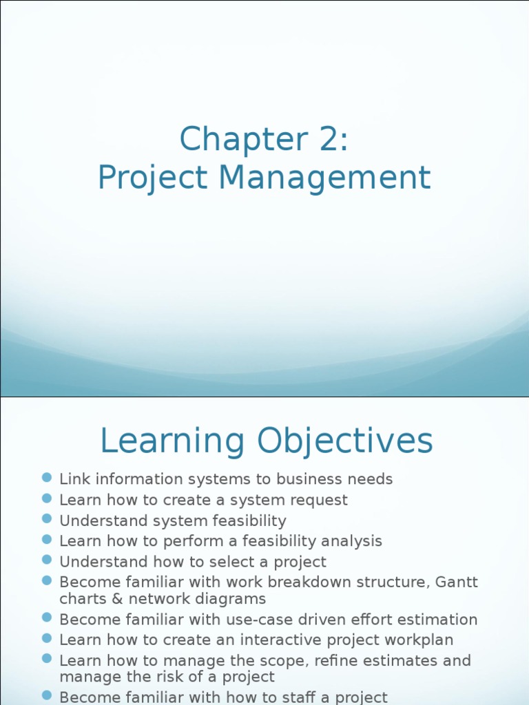 Week 2 | PDF | Project Management | Accountability