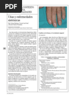 Guía sobre Cromoniquia y Alteraciones Ungueales | PDF | Clavo (anatomía ...