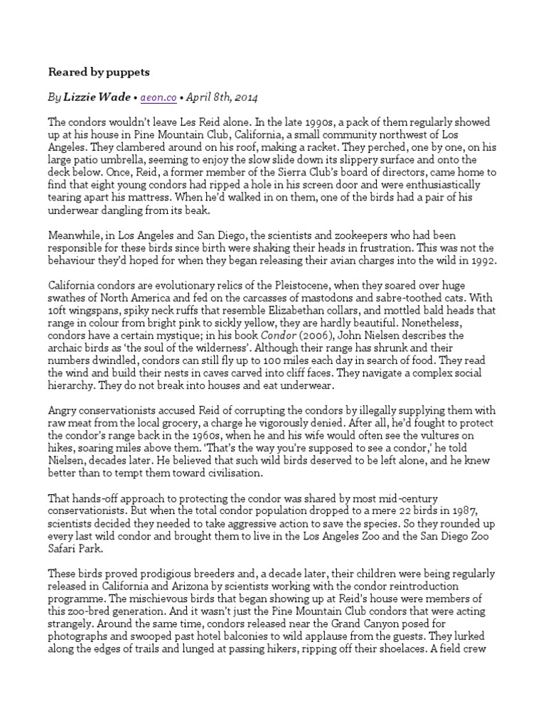 Feeder-Imprinting Puppets California Condor | PDF | Puppetry | Birds