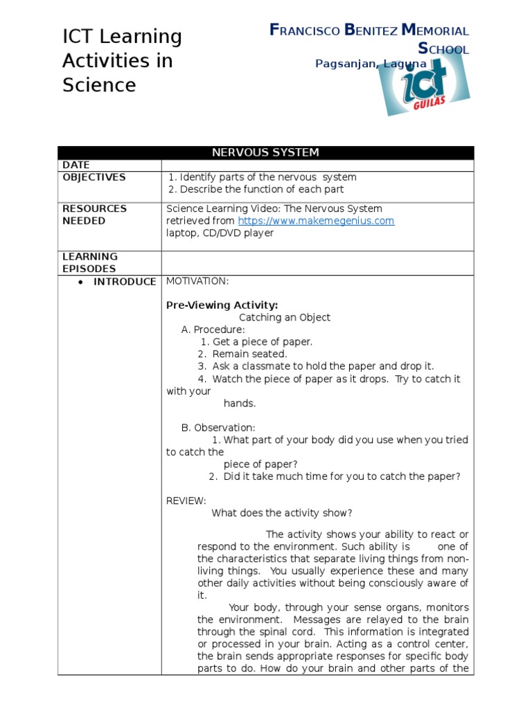 Nervous System Lesson Plan | PDF | Central Nervous System | Nerve