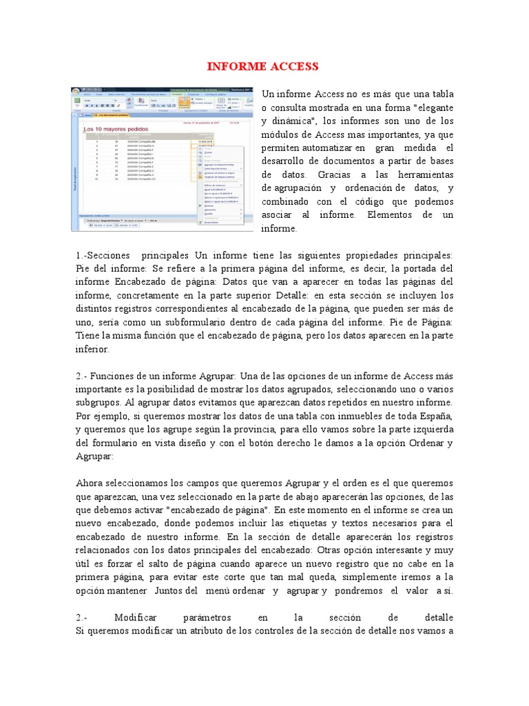 Informe Access | PDF | Visual Basic para Aplicaciones | Macro (informática)