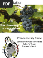 SPM Physics Formula Print | PDF | Teaching Mathematics | Nature