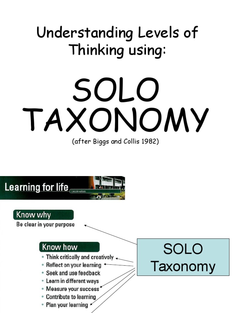 SOLO Explained | PDF | Analogy | Learning