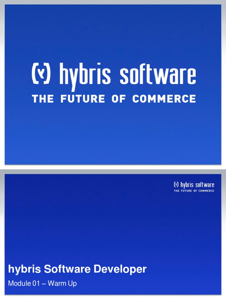 Hybris Software Developer - Warm Up | PDF | Web Application ...
