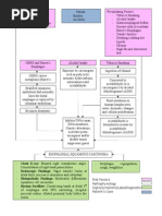 CPG Pcap 2012 PDF | PDF